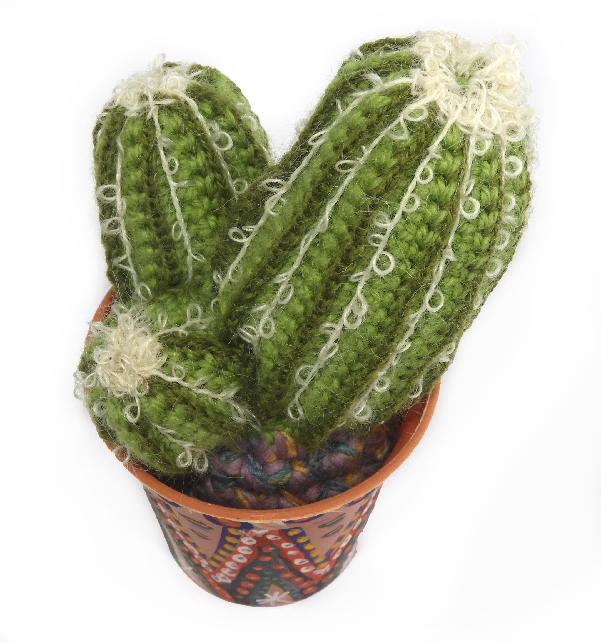 Crochet Tall Barrel Cactus - Renate Kirkpatrick's Freeform Crochet~Knit ...